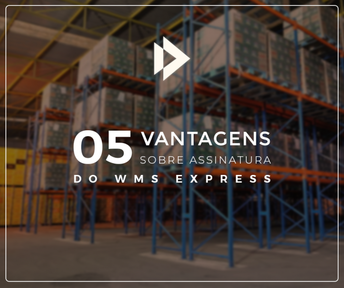 Via Express - Blog | 5 Vantagens sobre assinatura WMS Express